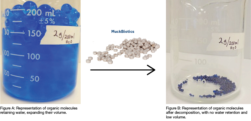 Where Does Muck Go? - Natural Lake Biosciences
